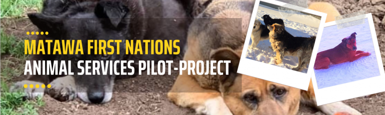 Animal Wellness Services - Matawa