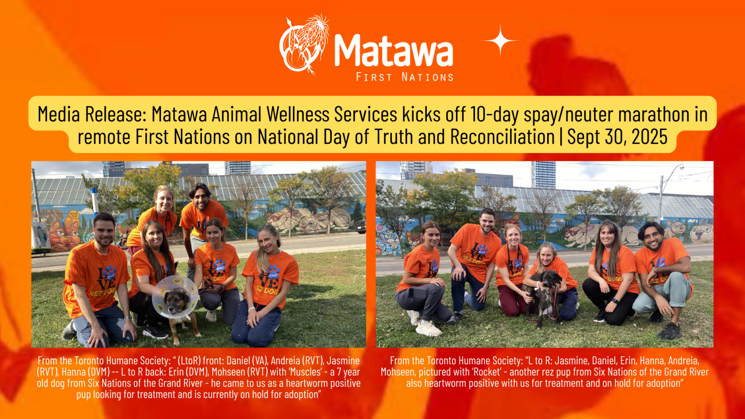 MATAWA ANIMAL WELLNESS SERVICES KICKS OFF 10-DAY SPAY/NEUTER MARATHON ...